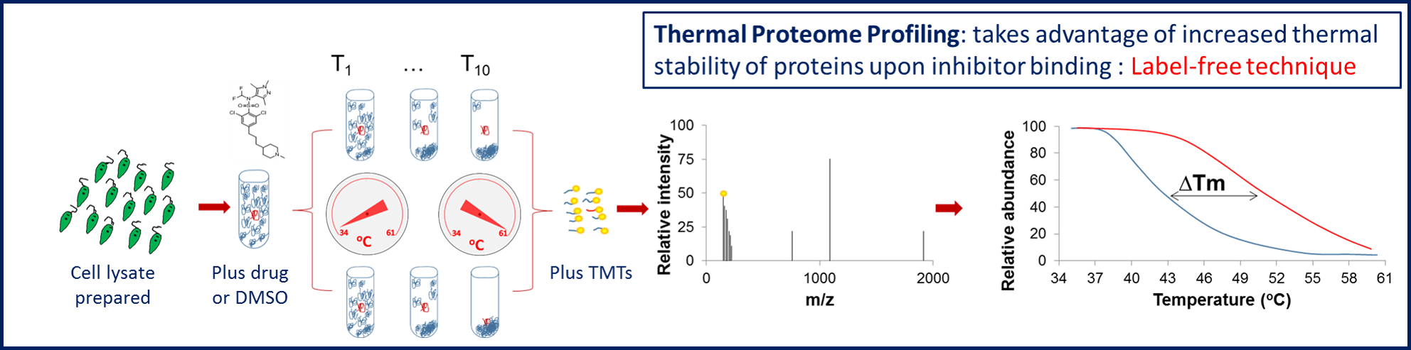 Research | Mode of Action Group